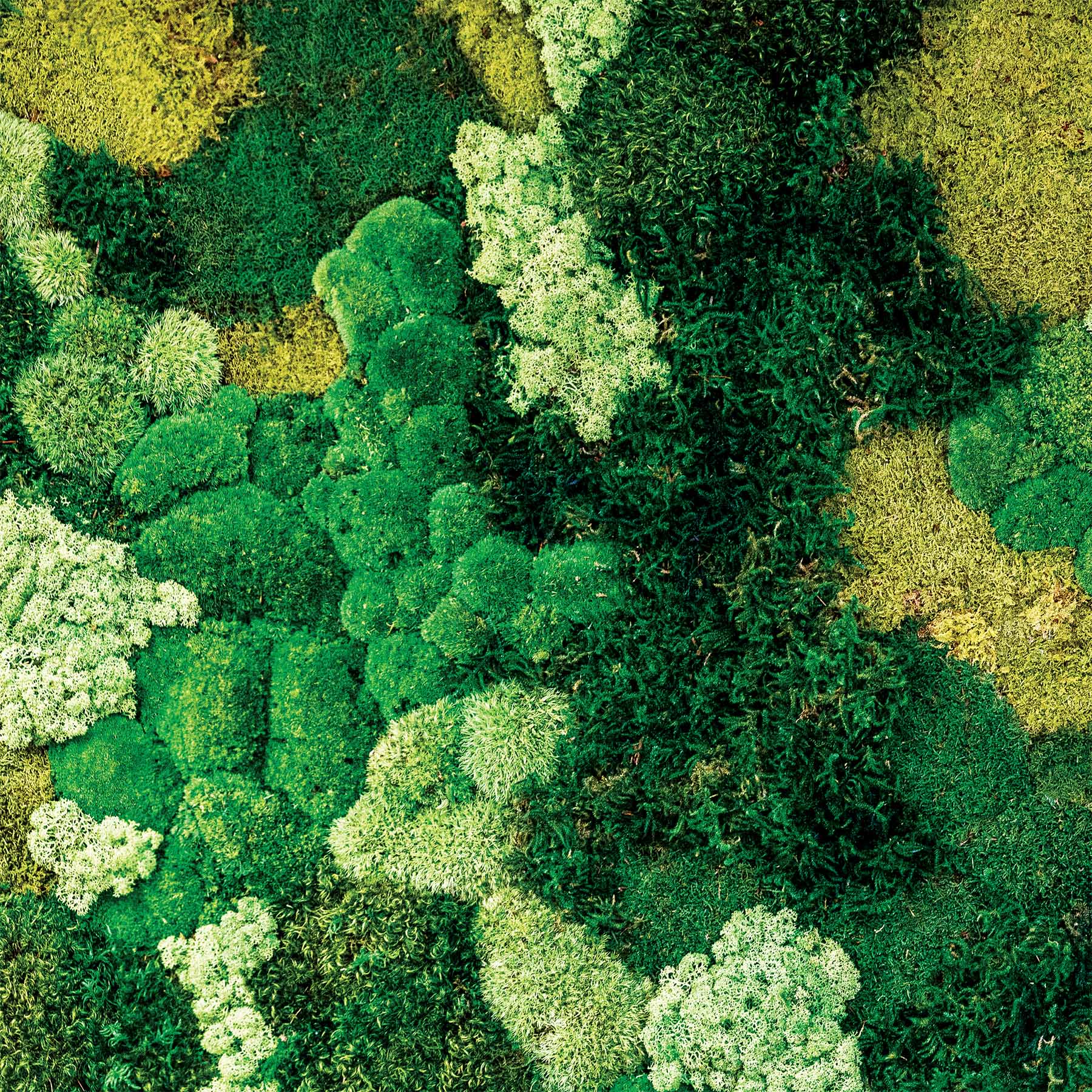 About Us - Western Alumni Magazine